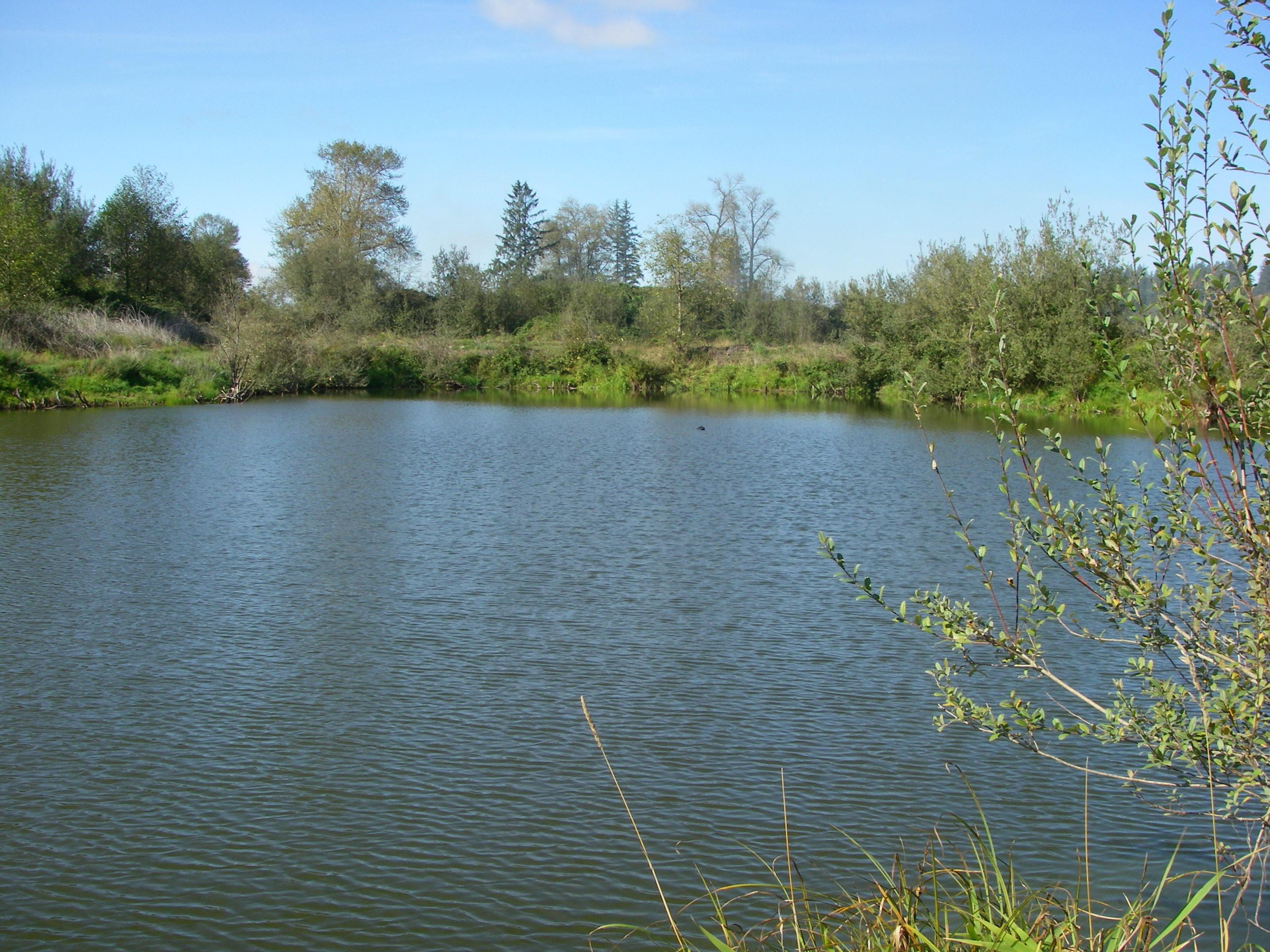 Oregon Fishing Club - Burdick Pond / Trask River #3