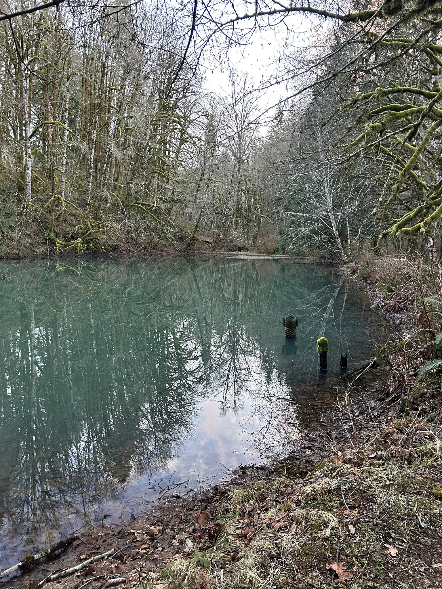 Oregon Fishing Club - Summerlin Ponds