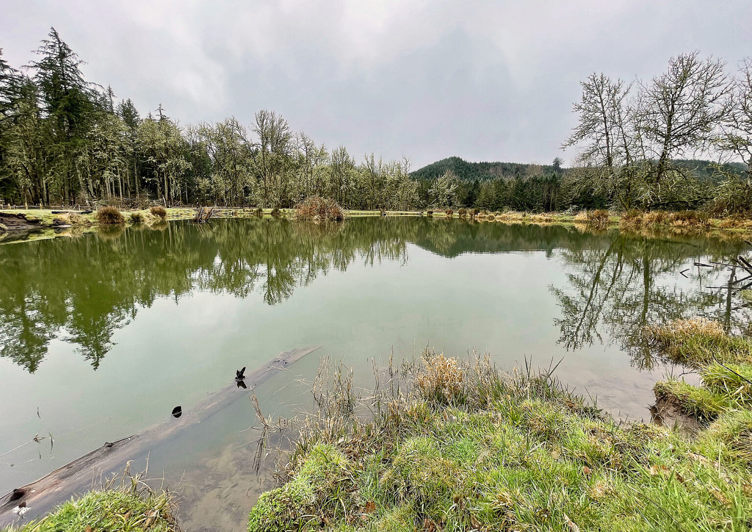 Oregon Fishing Club - Tom & Molly Ponds
