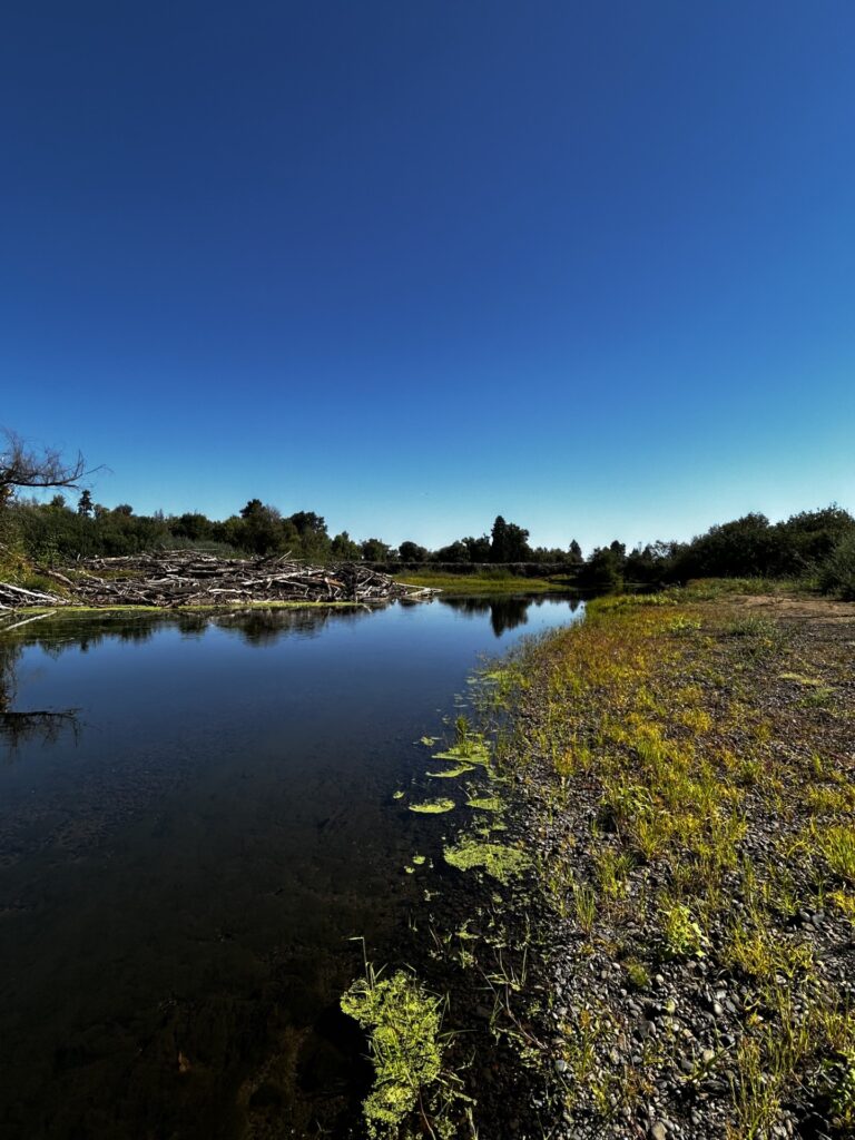 Oregon Fishing Club - Pudding River at Pat's Acres