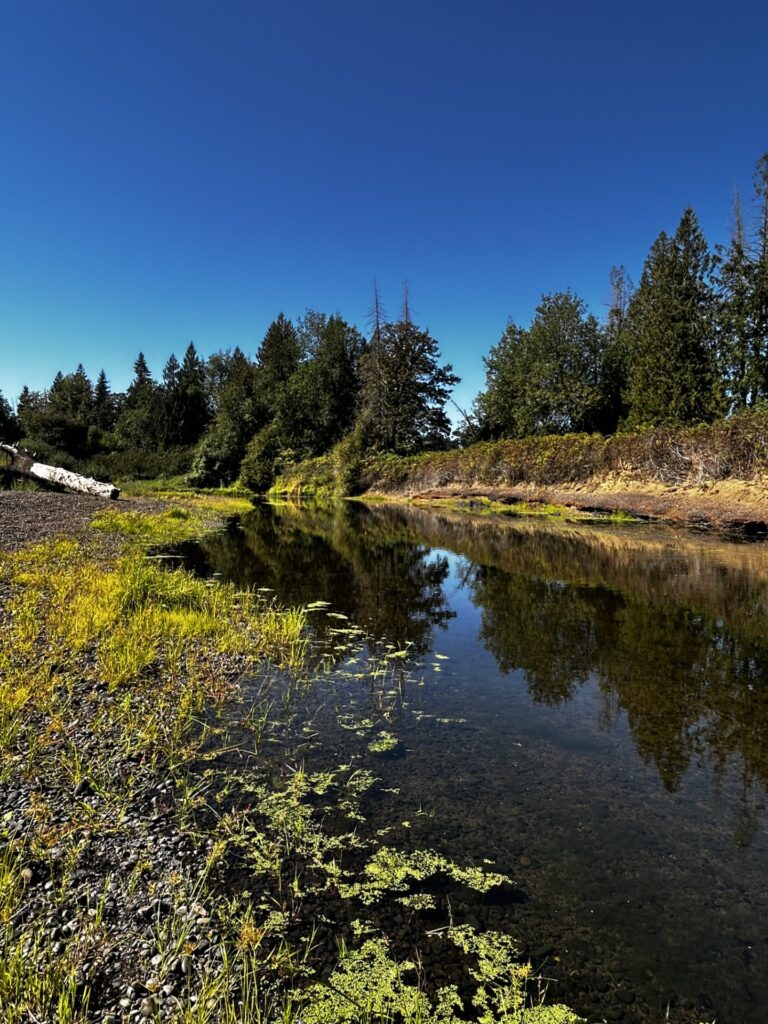 Oregon Fishing Club - Pudding River at Pat's Acres