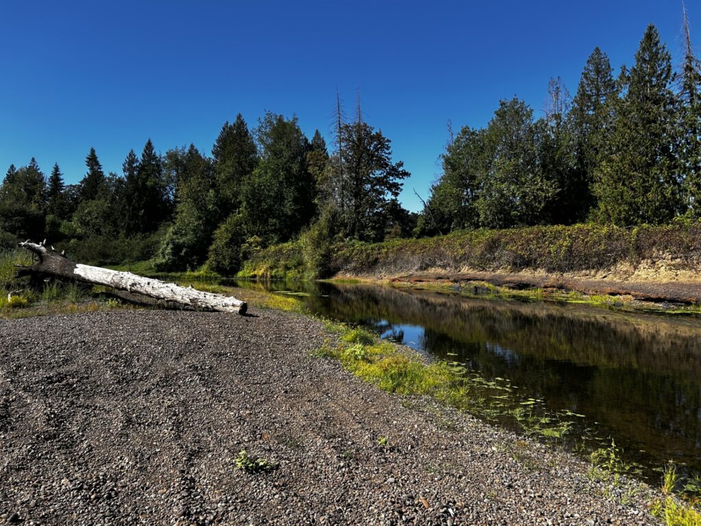 Oregon Fishing Club - Pudding River at Pat's Acres